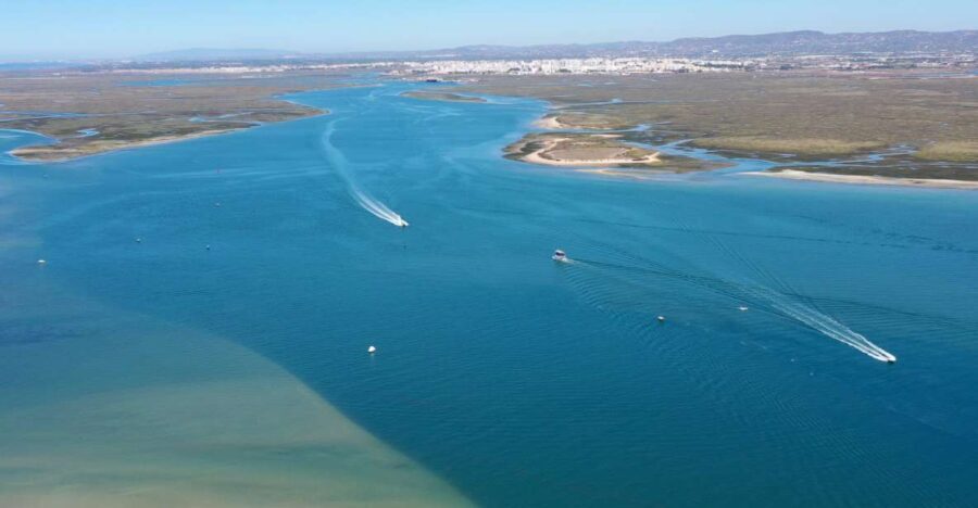 From Olhão: Ria Formosa 3-Island Full-Day Tour - An In-Depth Look at the Tour Experience