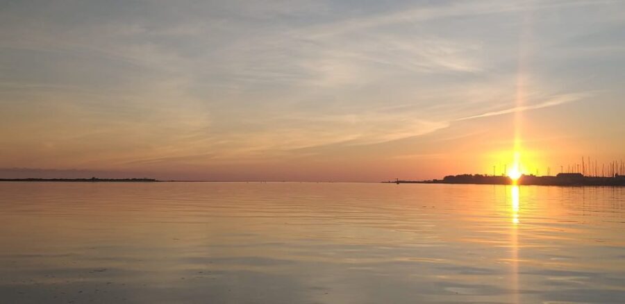 From Olhão: Ria Formosa Sunset Island Tour - An In-Depth Look at the Ria Formosa Sunset Island Tour