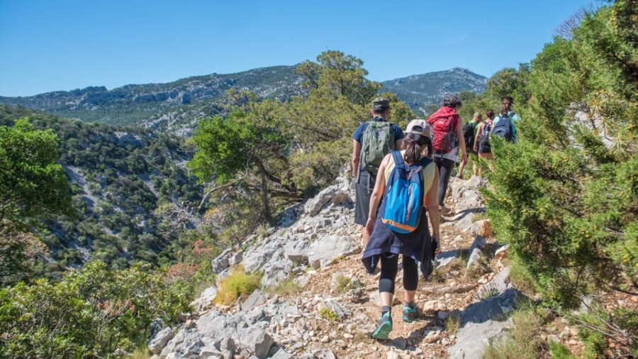 From Orosei/Dorgali: Hike to Cala Luna - Guided Day Trip - What’s Included and What to Keep in Mind