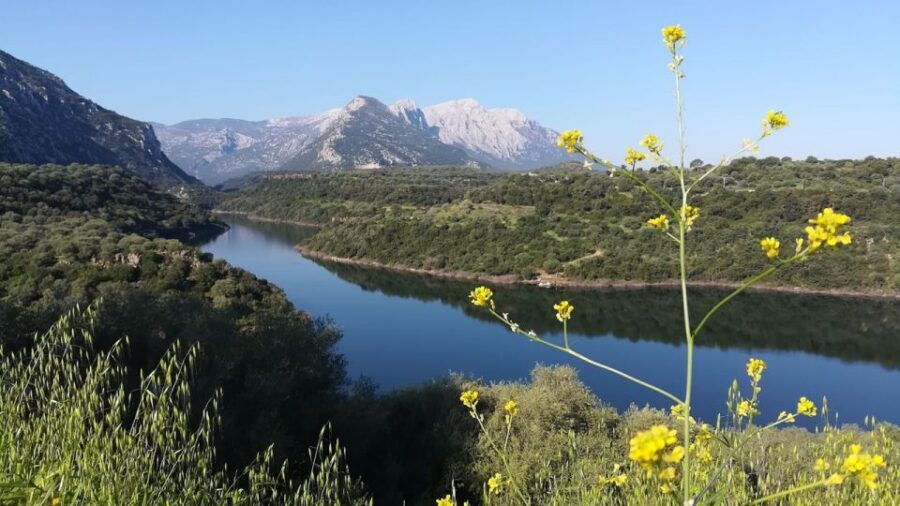 From Orosei or Dorgali: Guided Hiking Day Trip to Tiscali - Who Will Love This Tour?