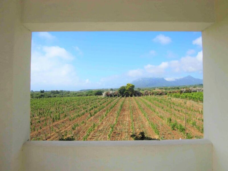 From Orosei: private jeep tour with tasting - Key Points