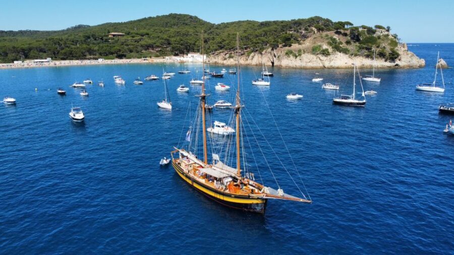 From Palamos: Scenic Boat Trip to Calella de Palafrugell - Itinerary Breakdown