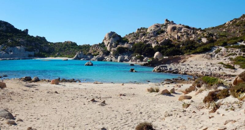 From Palau: La Maddalena Archipelago Boat Tour with Pasta - Key Points