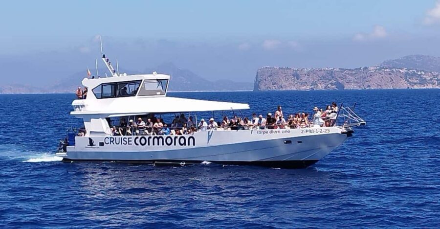From Palma: Afternoon Dolphin-Watching Boat Tour - Authentic Experiences and Practical Tips