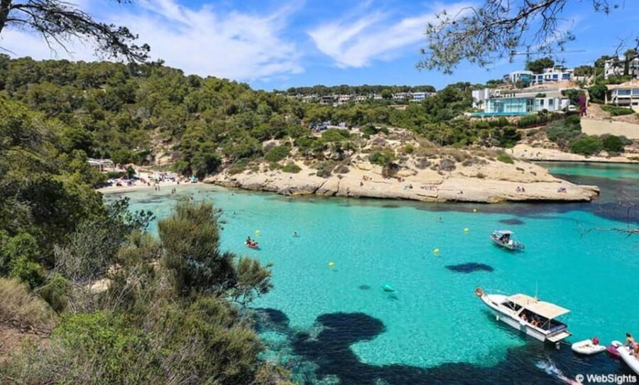 From Palma: Portal Vells Beach and Cave SUP & Snorkel Tour - The Sum Up