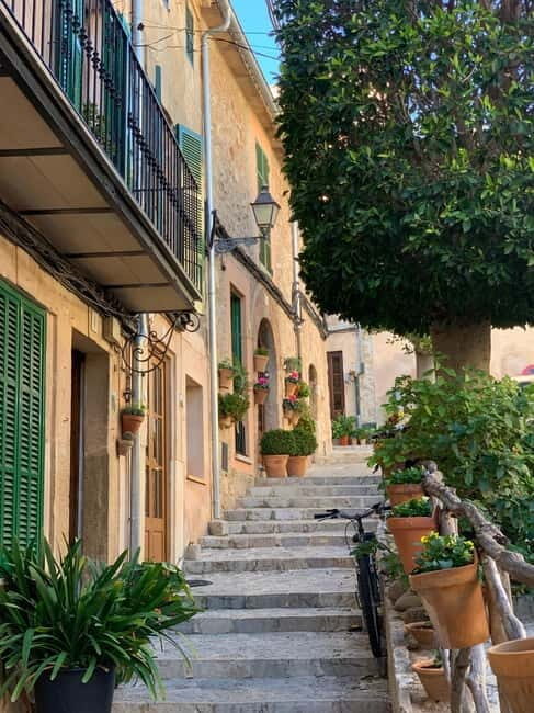 From Palma: Valldemossa Tour and Mountain Viewpoint Hike - Who Should Consider This Tour?