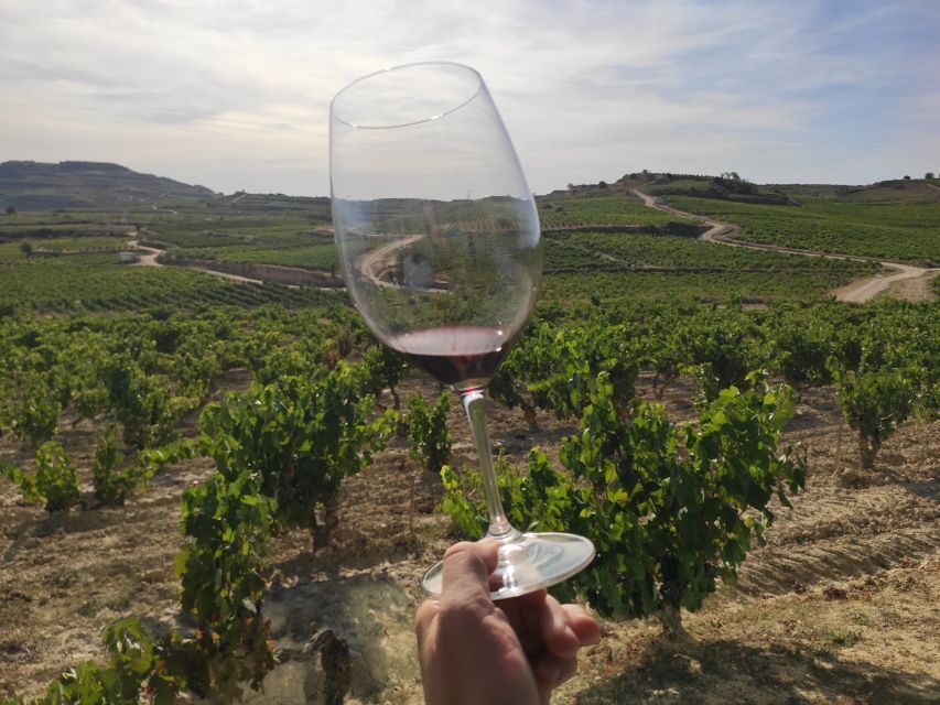 From Pamplona or Logroño: Rioja Wineries Day Trip w/ Tasting - Authentic Experiences and What Travelers Say