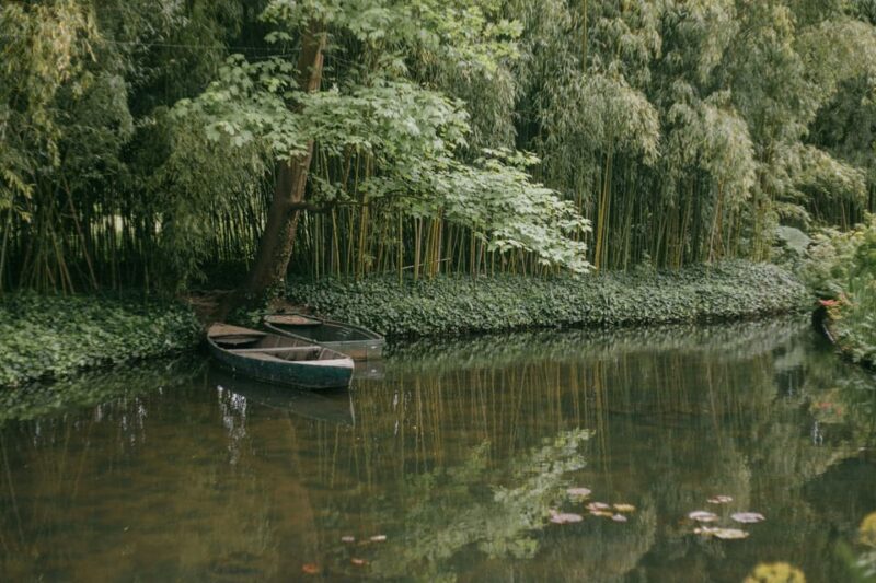 From Paris: Half Day Giverny Monet's Gardens Tour - An In-Depth Look at the Giverny Tour Experience
