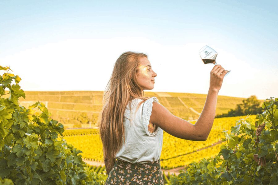 From Paris: Private Sancerre Wine Tour w 10 Tastings & Lunch - Is This Tour for You?