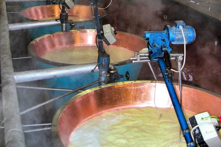 From Parma: Parmesan, Parma Ham & Balsamic Vinegar Tour - Visiting the Parmigiano-Reggiano Dairy