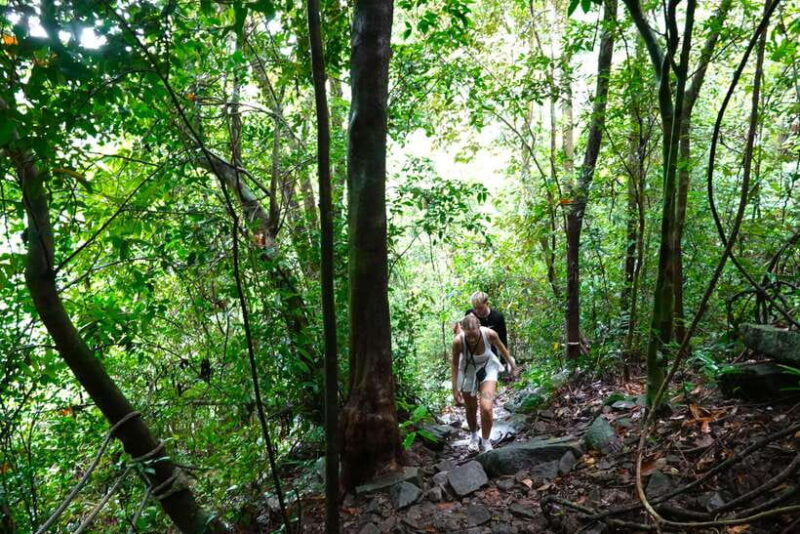From Pattaya: Rayong Adventure Hike and Kayak Day Trip - From Pattaya: Rayong Adventure Hike and Kayak Day Trip — An In-Depth Review
