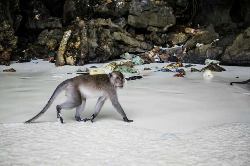 From Phi Phi: Full Day 7 Island Tour by Longtail with Sunset - Introduction
