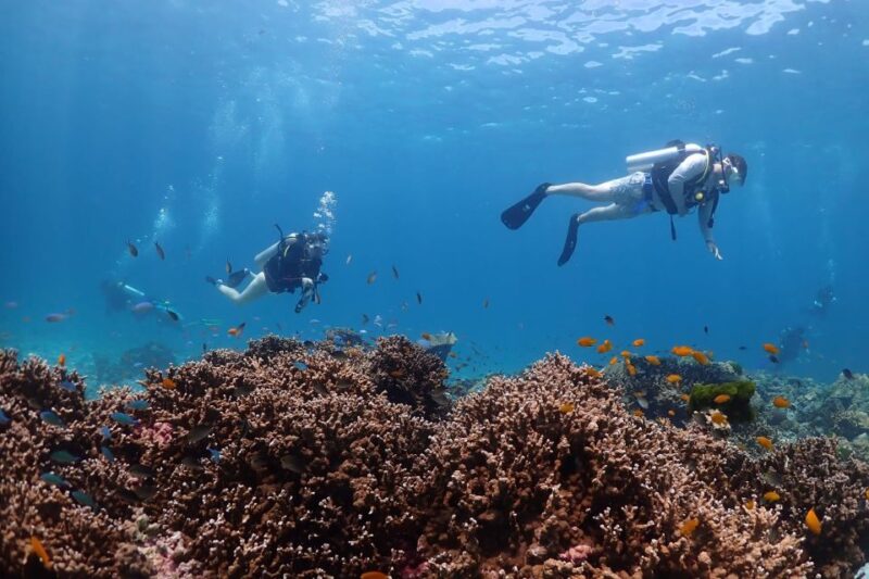 From Phuket: 3-Day SSI/PADI Open Water Diver Certification - What’s Included and Why It Matters