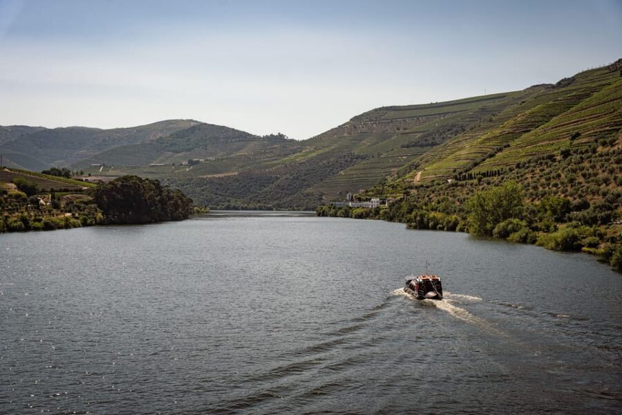 From Pinhão: Douro Valley Rabelo Boat Tour with Port Wine - Who Will Love This Tour?