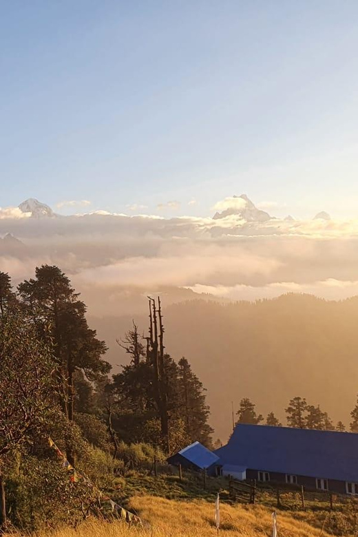 From Pokhara: 4 Day Budget Poon Hill Trek Fixed Deprature - An Overview of the Poon Hill Trek Experience