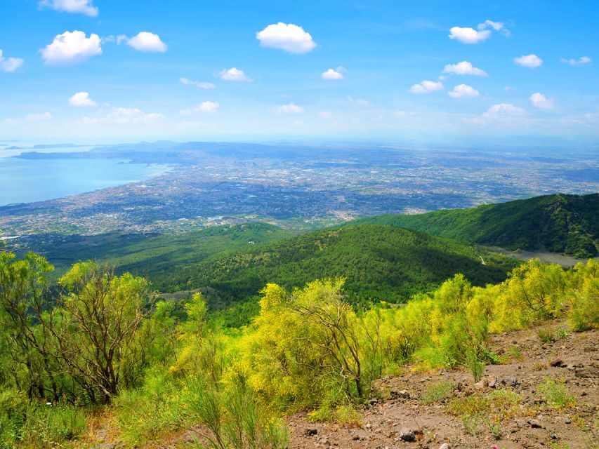 From Pompeii: Bus Transfer to Vesuvius with Park Entry Fee - Who Would Love This Tour?