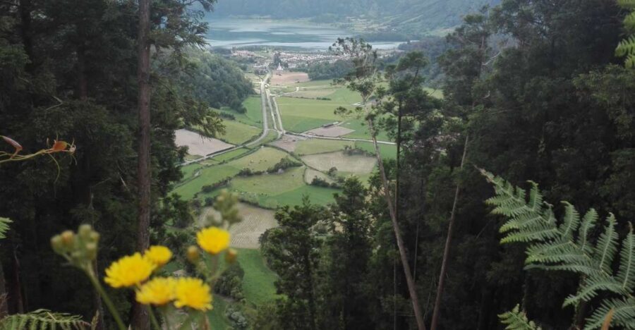 From Ponta Delgada: Sete Cidades Walk, Tasting and Kayaking - The Scenic Drive to Sete Cidades