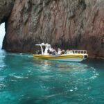 From Porto: Calanche de Piana and Capo Rosso Boat Tour - The Value of a Short Scenic Flight