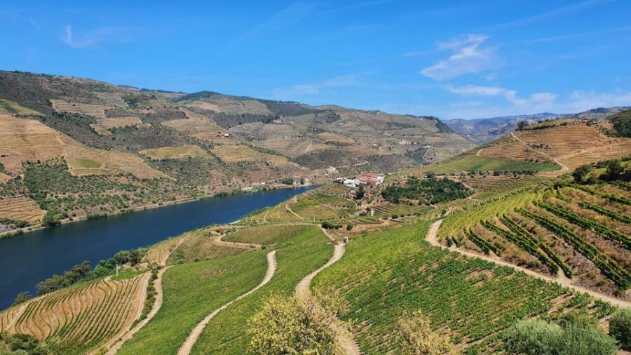 From Porto Day Douro Valley Wine Tour 2 Wineries & Lunch - What Travelers Say