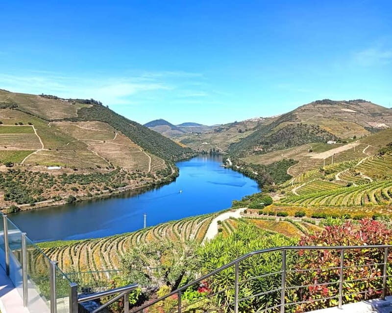 From Porto: Douro Valley Private Tour w/ 3 Wineries & Lunch - What’s Included and What to Keep in Mind