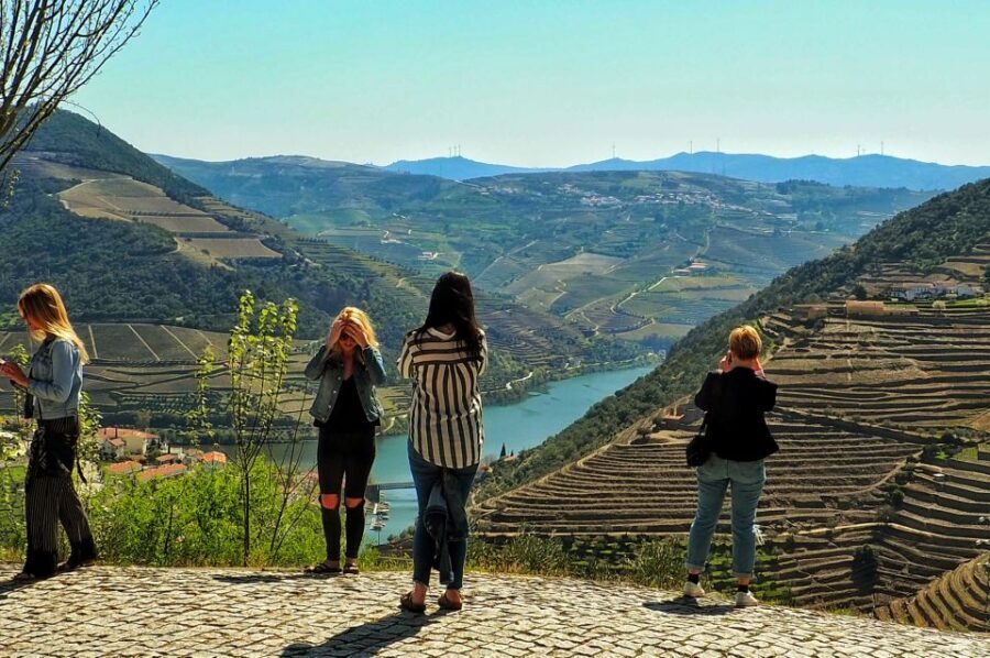 From Porto: Douro Valley Wine Tour with River Cruise & Lunch - Discovering the Wineries