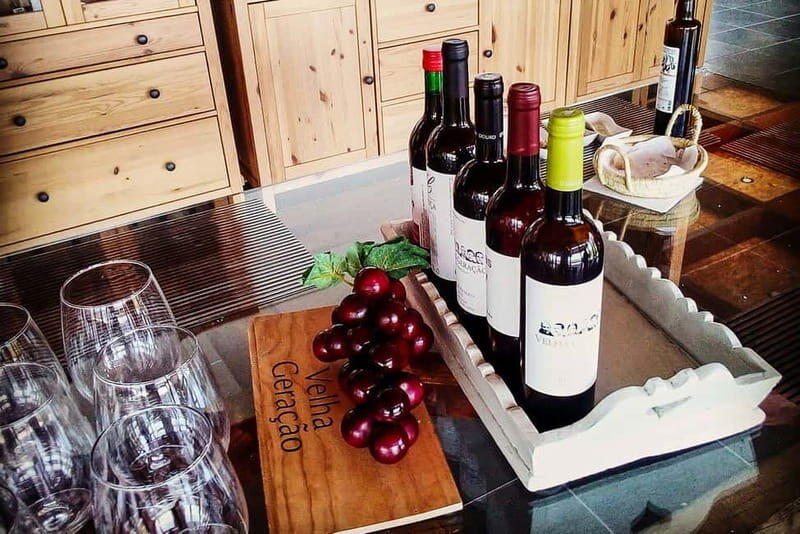 From Porto: Douro Valley with Wineries, Lunch and Boat Trip - What Makes This Tour Stand Out