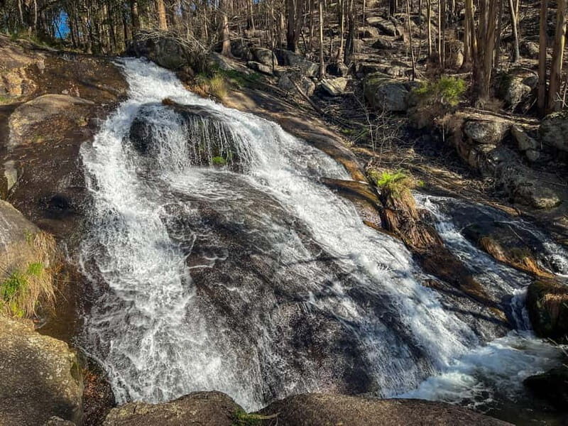 From Porto: Forest Waterfalls & Roman Ruins Trail Tour - What’s the Itinerary?