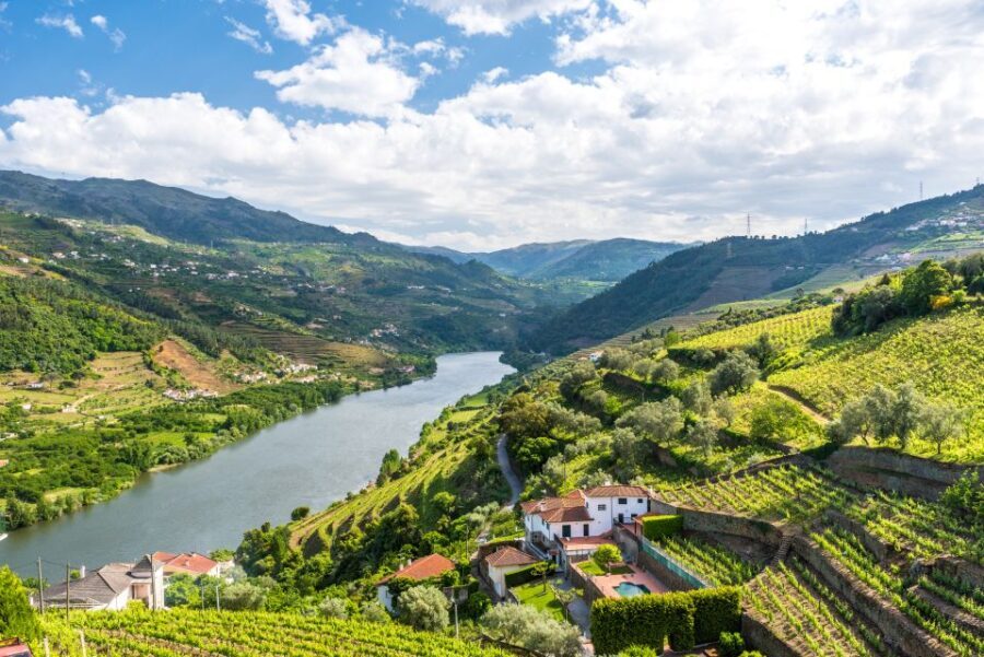 From Porto: Full-Day Douro Historical Tour - The Practical Side: What to Expect