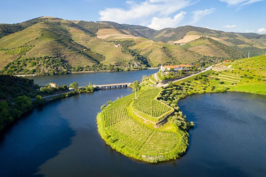 From Porto: Full-Day Douro Valley Trip - Transportation and Logistics