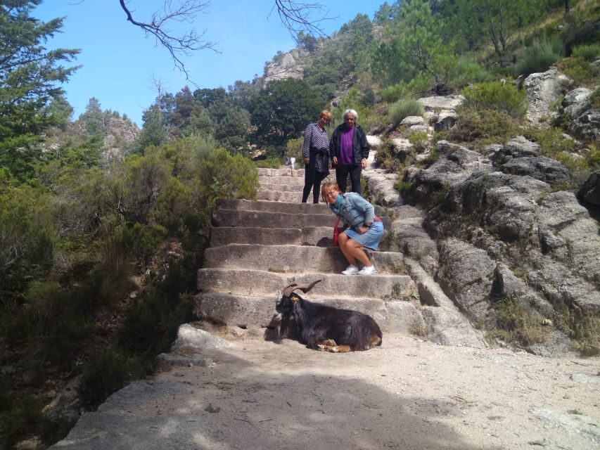 From Porto: Guided tour to Gerês Park - Who Will Enjoy This Tour?