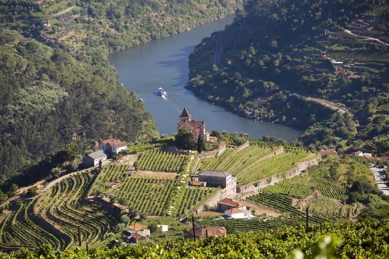 From Porto: Premium Douro Valley Small-Group Wine Tour - What Makes This Tour Stand Out?