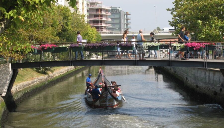 From Porto: Private Sightseeing Coimbra and Aveiro Tour - What You Can Expect at Coimbra