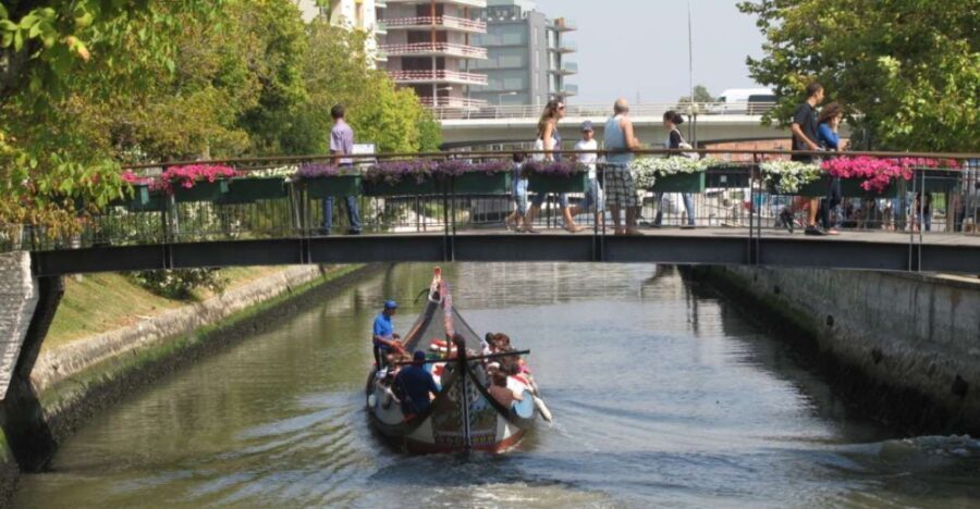 From Porto: Private Sightseeing Tour of Aveiro - Detailed Itinerary and Highlights