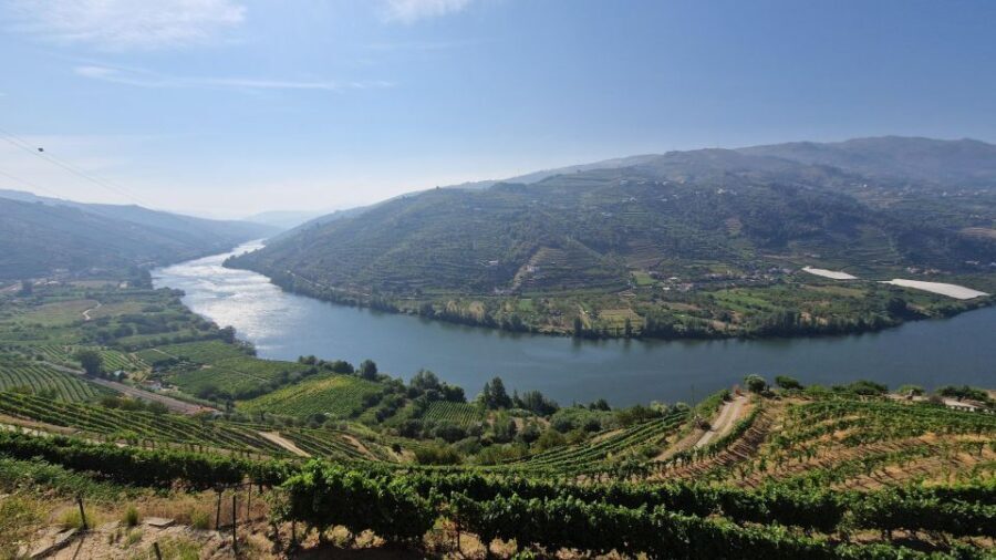 From Porto Private Wine Tour with 2 Tastings, Boat and Lunch - Who Will Love This Tour?