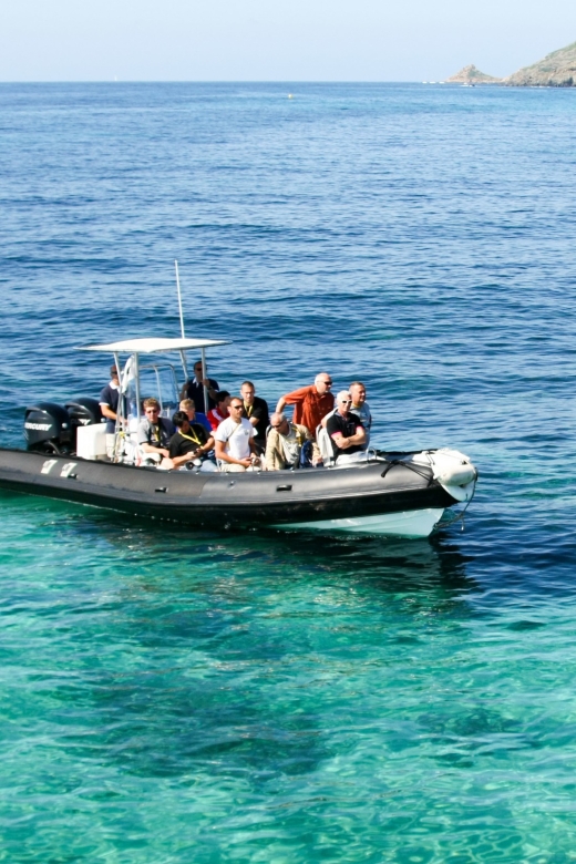 From Porto: Scandola and Calanche de Piana Boat Tour - Key Points