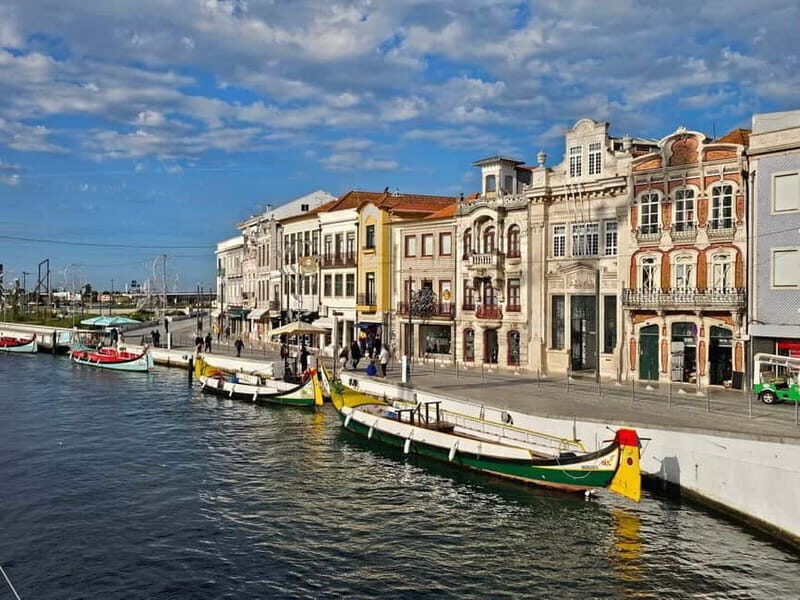 From Porto to Aveiro: Cruise, Aves, Salinas, Costa Nova, and Vista Alegre - What Makes This Tour Stand Out?