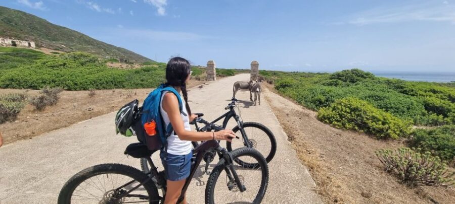 From Porto Torres: E-Bike Rental - What to Expect During the Ride – Scenic Trails and Wildlife