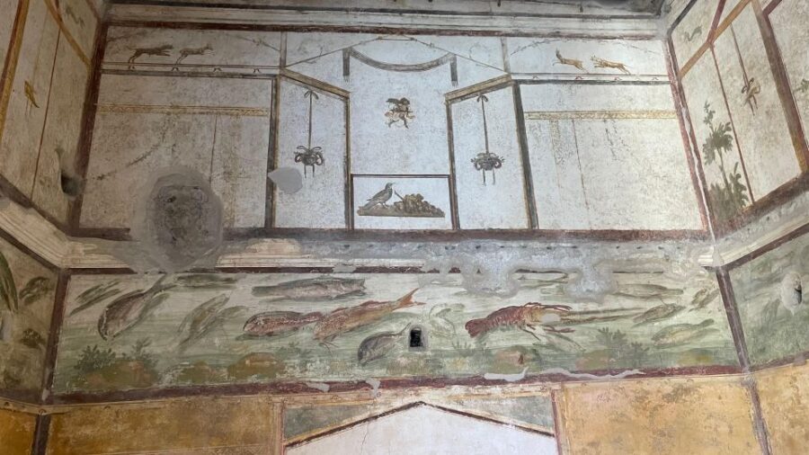 From Positano: Pompeii, Vesuvius, & Wine Tasting with Lunch - The Itinerary in Detail