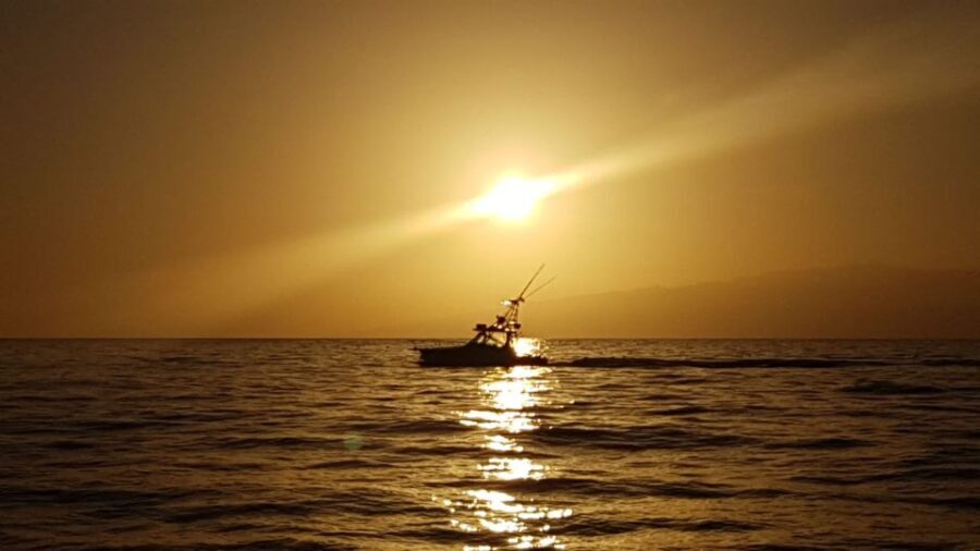 From Puerto Colón: Private Fishing Boat Charter with Lunch - Itinerary and What You Can Expect