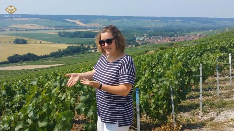 From Reims: Champagne Day Trip to Two Local Domains & Lunch - The Itinerary: What You’ll See and Do