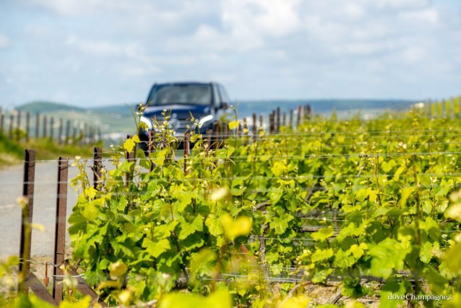 From Reims: Morning Champagne Tour and Tastings - Key Points