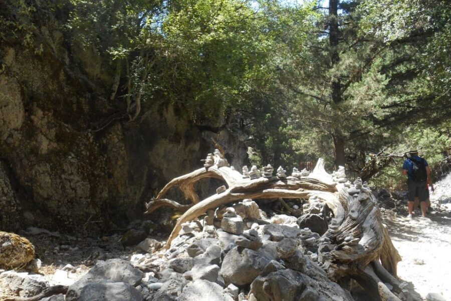 From Rethymno/Chania: Imbros Gorge Hike - The Descent and Relaxation in Sfakia