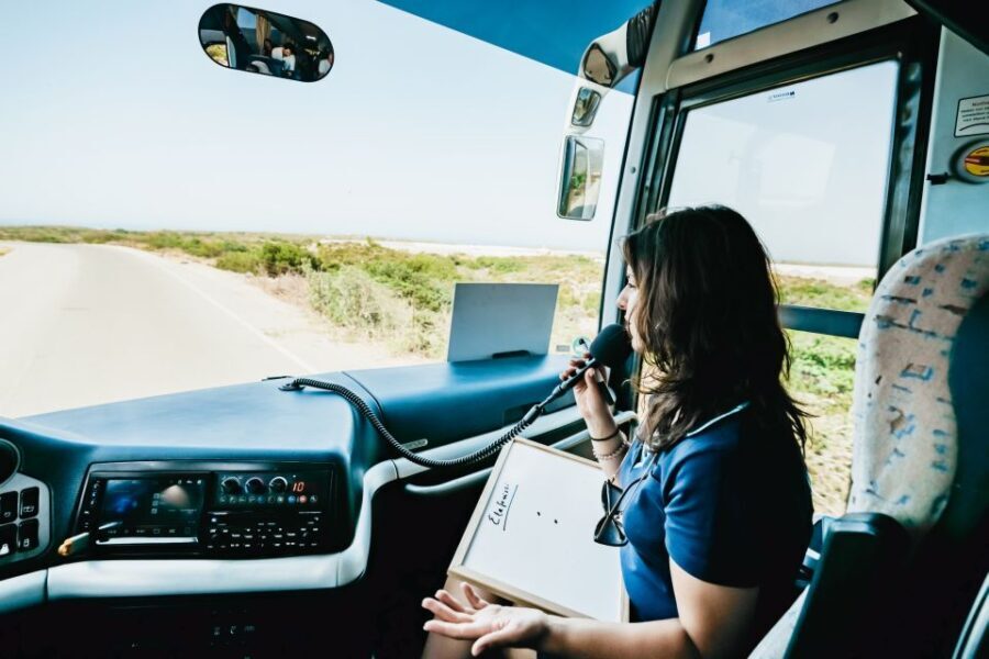 From Rethymno/Kavros: Elafonissi Pink Sand Beach Tour - Transportation & Group Experience