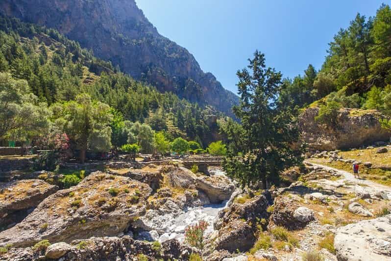 From Rethymno: Samaria gorge with Professional Hiking Guide - The Practicalities: Transportation, Timing, and Group