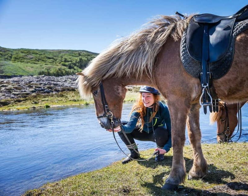 From Reykjavík: Icelandic Horse Riding Tour in Lava Fields - Why This Tour Works for Different Travelers