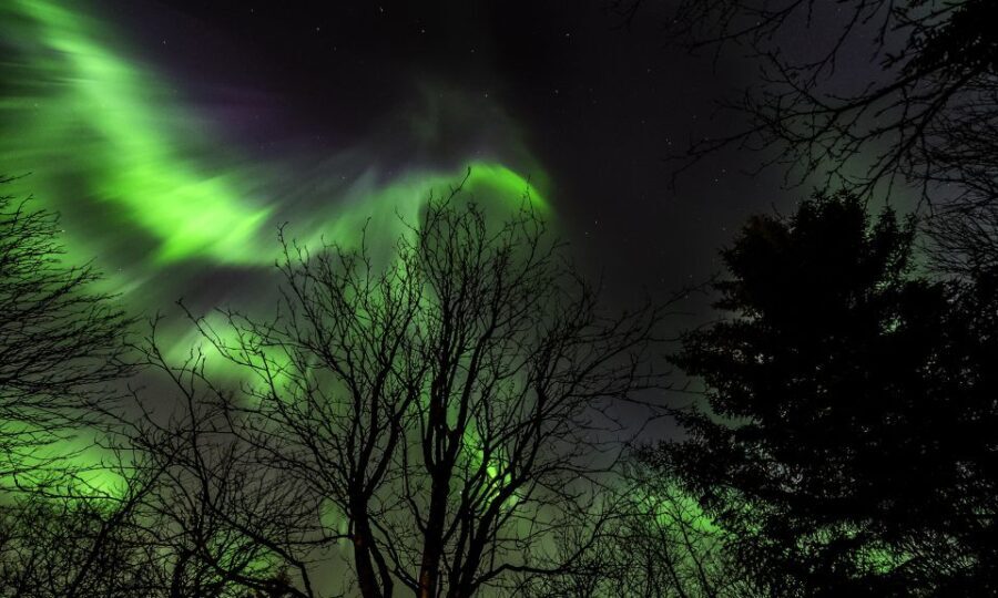 From Reykjavik: Northern Lights Tour with Lifetime Guarantee - Authenticity and Value