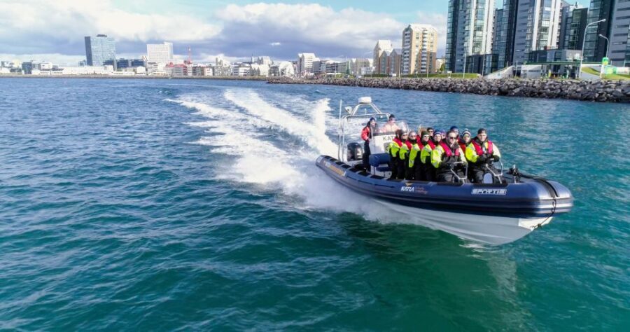 From Reykjavik: Whale Watching Tour by Speedboat - Final Thoughts: Is It Worth It?