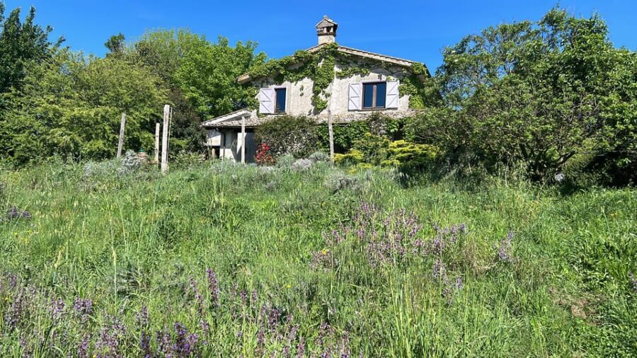 From Rome: Bracciano Lake & Calcata Day Trip, Wines & Lunch - Final Thoughts