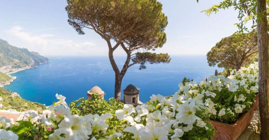 From Rome: Day Trip to Pompeii, Positano, and Amalfi - Transportation and Comfort