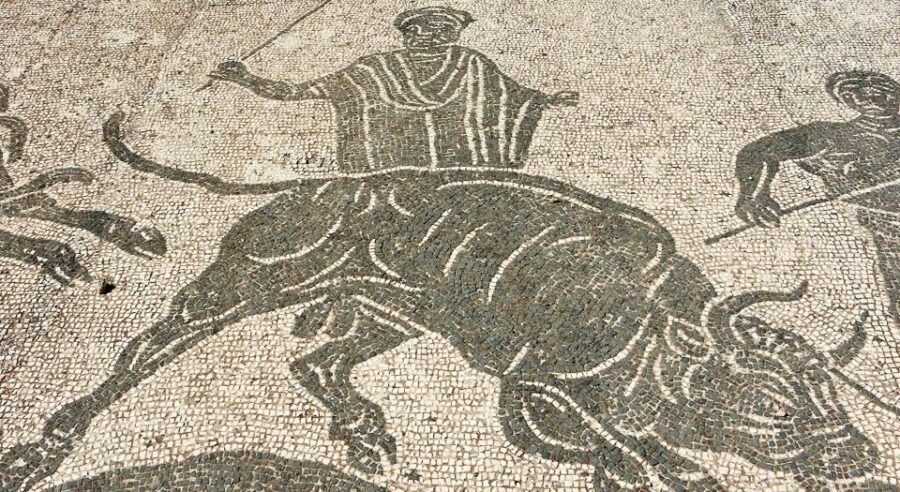 From Rome: Ostia Antica Ruins - Analyzing the Value: Does the Cost Match the Experience?